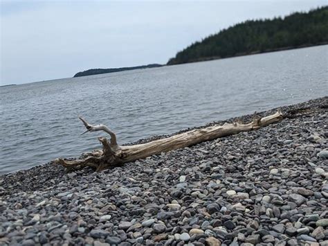 Jasper Beach Machiasport 2020 All You Need To Know Before You Go