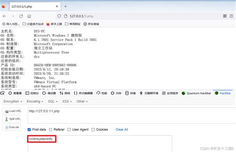 PHP常见的命令执行函数与代码执行函数 php命令执行函数 CSDN博客