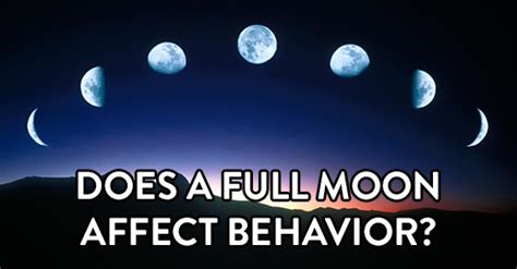 Fact Check Does A Full Moon Affect Behaviors