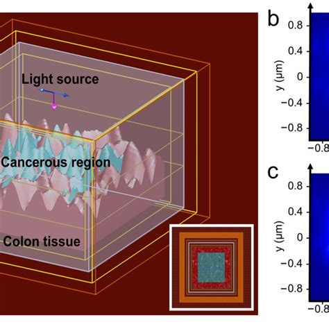 A The Simulation Window Showing The 1 µm × 1 µm Sized Tumorous Region Download Scientific