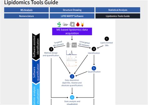 Bioinformatics Tools For Lipidomics Analysis Clínical Lipidómics