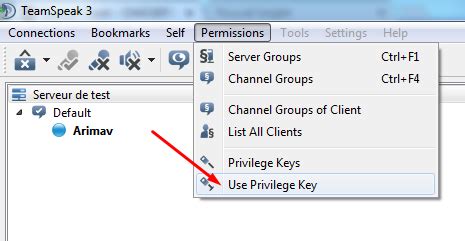 Comment Passer Administrateur Sur Mon Serveur TeamSpeak FAQ Et Tutoriels TeamSpeak OMGSERV