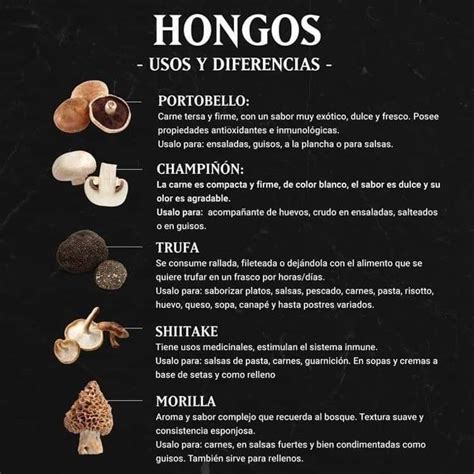 Pin De Brisa F Pereda En Salado Hierbas Aromaticas Para Cocinar