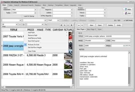 Organizer Advantage Application Main Window The Grid