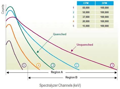 Quench Counting Efficiency And Quench Correction Revvity Quench Counting Efficiency And Quench Correction Revvity