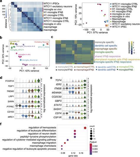 Functional Characterization Of Alzheimers Disease Genetic Variants In