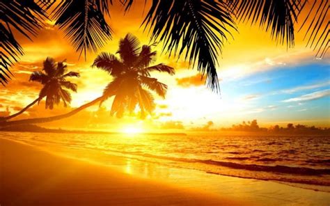 Tropical Island Sunset Beach With Palm Trees Wallpaper Hd
