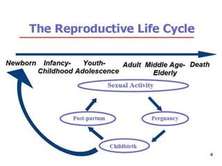 REPRODUCTIVE HEALTH PPT PPTX