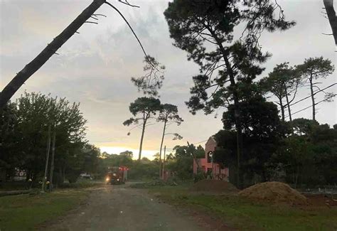 Temporal De Lluvia Y Viento Cuatro árboles Caídos En El Barrio