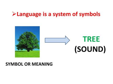 Linguistic Principles Of Teaching English Pptx