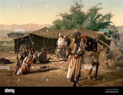How Do Bedouin Nomads Live At Zachary Fry Blog