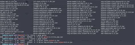 Interation Lemminx Maven In Emacslsp Mode Mavens Settings Cannot Get Then Throw Npe · Issue
