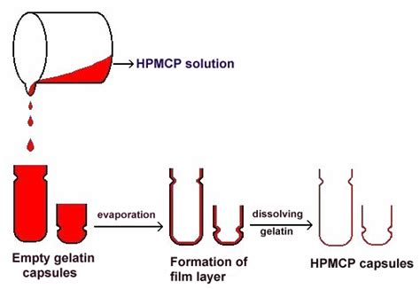Shematic Representation Of The Preparation Of Hpmcp Capsules Download Scientific Diagram
