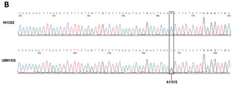 Whole Exome Sequencing Wes Reveals Novel Sex Specific Gene Variants