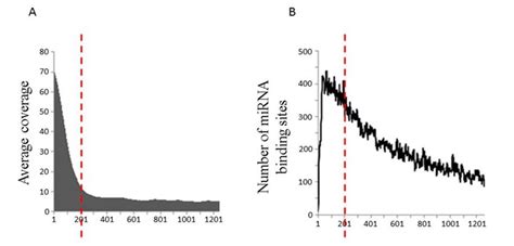 Identification Of Non Coding Variants In Exome Sequencing Data A