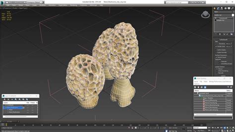 Morel Mushrooms 3D Model 39 3ds Blend C4d Fbx Max Ma Lxo Obj