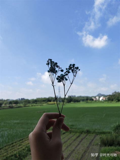 “没有销声匿迹，我在热爱生活。” 知乎