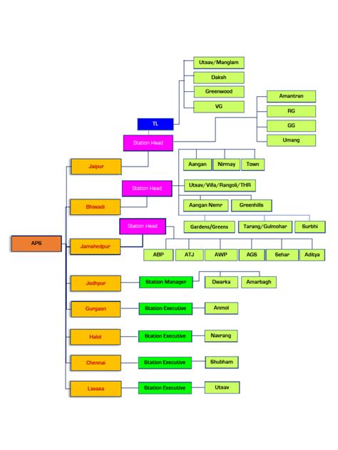 Aps Hierarchy Final1 Pdf