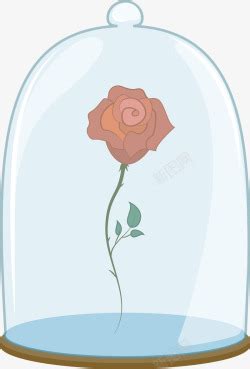 永生花玻璃罩图片免费下载 永生花玻璃罩素材 永生花玻璃罩海报 新图网