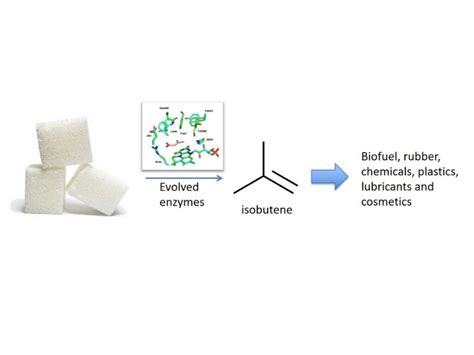 Recently Developed Evolved Enzymes To Produce Renewable Isobutene Scitke
