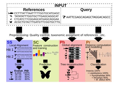 Taxonomy Assignment Edna
