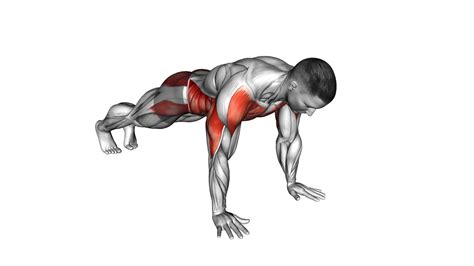 Plank Side Walk Ultimate Exercise Guide And Tips Male Video Tutorial