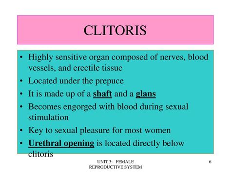 Female Reproductive Anatomy Ppt Download