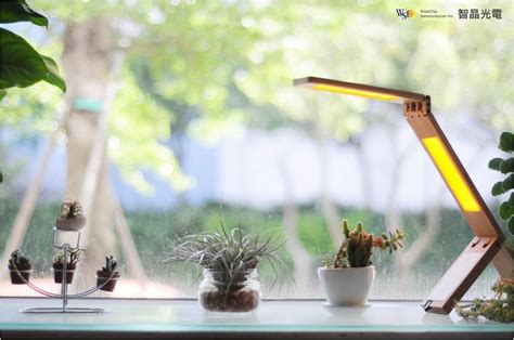 啟動照明文藝復興類燭光oled Future Tech Pavilion Futex