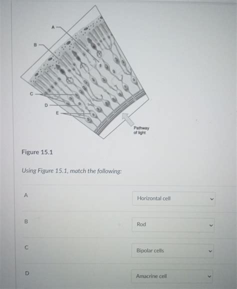 solved figure 15 1using figure 15 1 ﻿match the