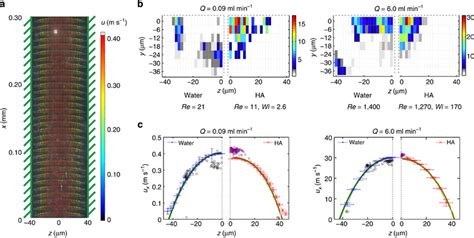 Features Of Inertio Elastic Focusing Based On Individual Particles A Download Scientific