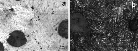 Microstructure Of Nodular Iron A And Adi B Download Scientific Diagram