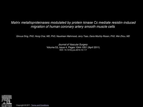 Matrix Metalloproteinases Modulated By Protein Kinase Cε Mediate