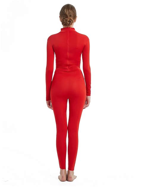 Zentai Suits Cosplay Costume Catsuit Carnival Costume Full Body Suit