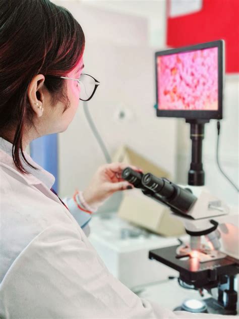 Isolation And Characterization Of Streptococcus Species A Microscopic Isolation And Characterization Of Streptococcus Species A Microscopic