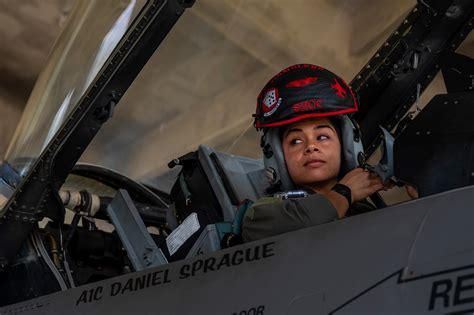 Raptors And Falcons Nest At Kadena Kadena Air Base Article Display