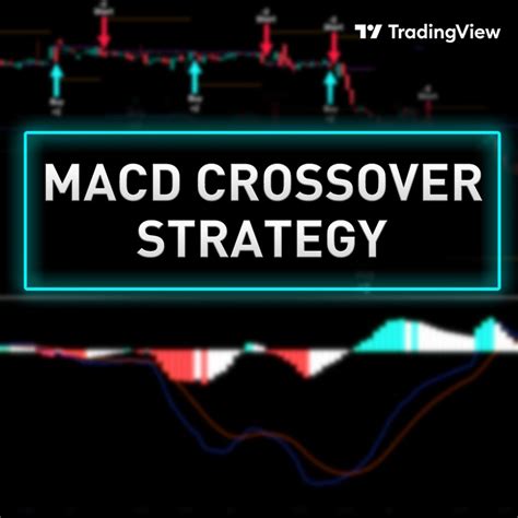 MACD CROSSOVER STRATEGY PINE ALGOFOX PRODUCT STORE