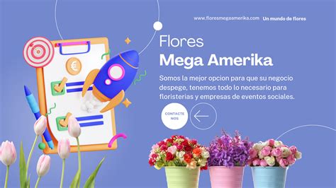 Inicio Mega Amerika
