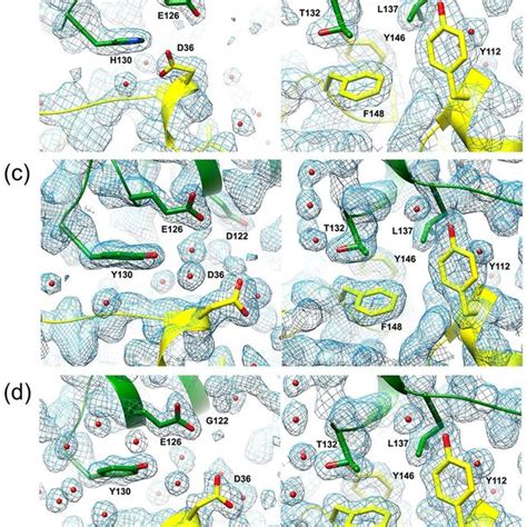 Structure Of Loop Regions Located At The Ad Monomer Interface And