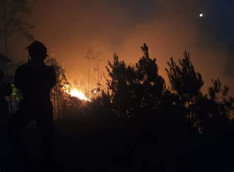 Más De 33 Mil Hectáreas De Bosques Afectados Por 820 Incendios