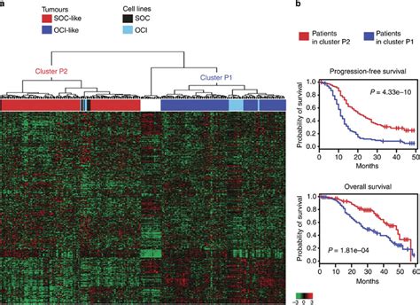 The OCI Lines Identify Two Major Outcome Groups A Unsupervised Download Scientific Diagram