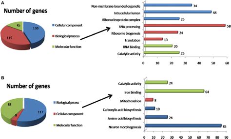 Functional Annotation Of Differentially Expressed Genes Using David