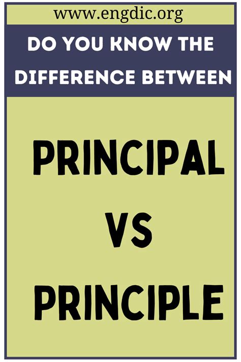 Principal Vs Principle Whats The Difference Engdic