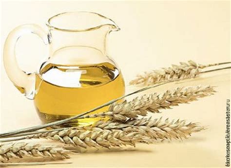 Масло зародышей пшеницы Рафинированное и Нерафинированное купить в ...