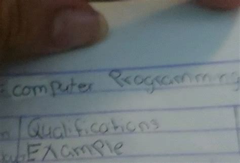 Computer Rrogramming Qualifications Example StudyX
