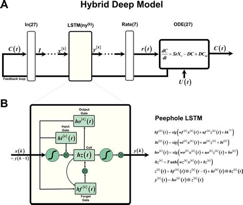 Deep Hybrid Modeling Of A Hek293 Process Combining Long Short Term Memory Lstm Networks With