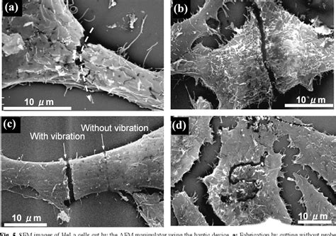 Figure 1 From Development Of A Nano Manipulator Based On An Atomic Force Microscope Coupled With