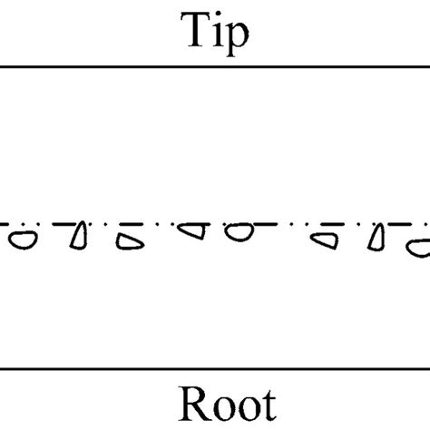 View Of Tooth Flank With Pitting Download Scientific Diagram