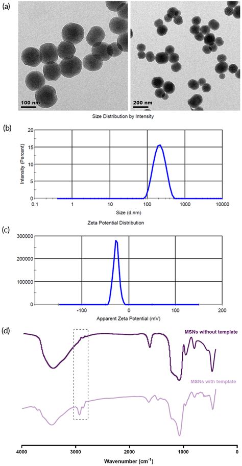 Characterization of mesoporous silica nanoparticles (MSNs). (a ...