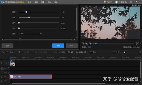 视频配音怎么制作？教你几种简单免费制作配音的工具 知乎