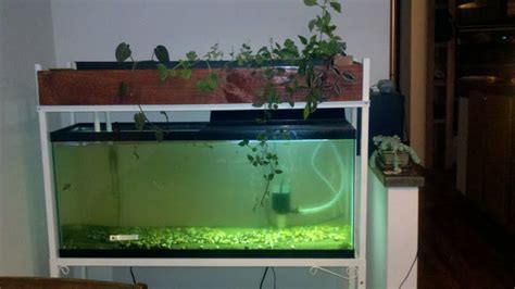 Automated Aquaponics Project General Guidance Arduino Forum